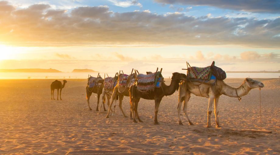 Quality Group - Tour e Viaggi - Marocco